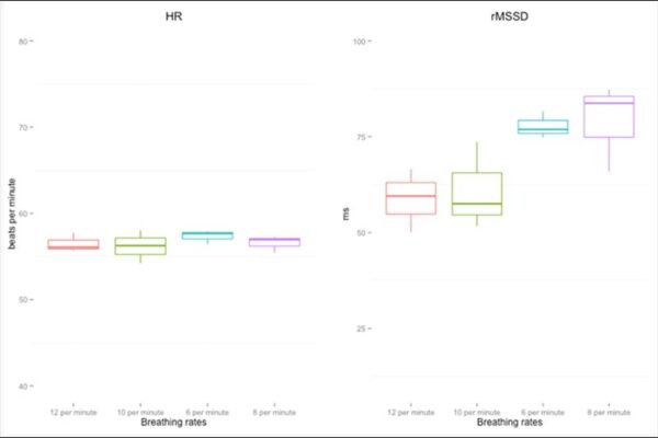 Analysis of Acute HRV Changes and Understanding the Big Picture Using ...